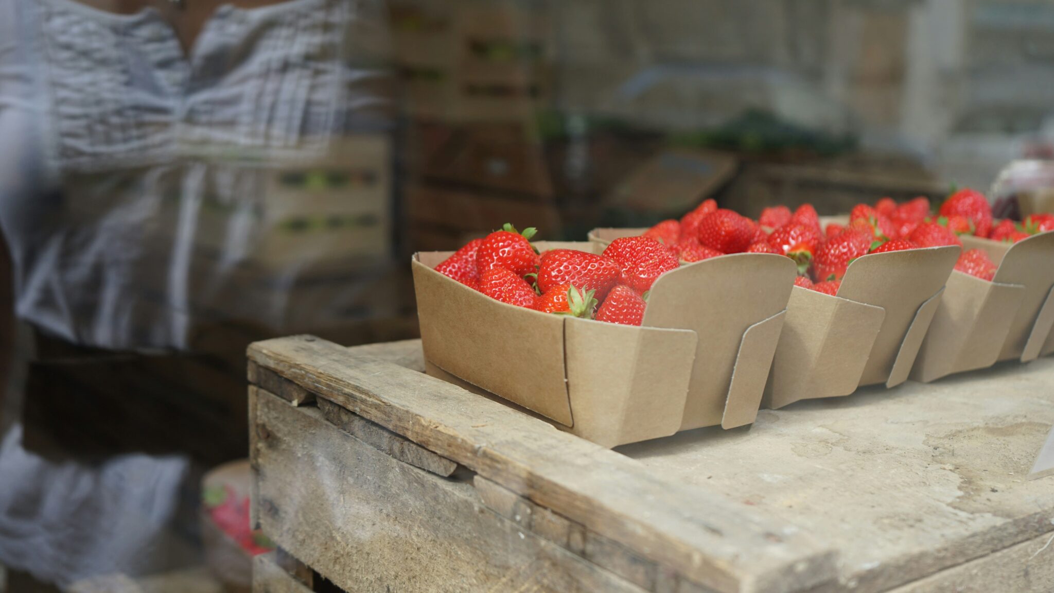 Sustainability in the Italian Food Industry: key challenges for 2026 ...